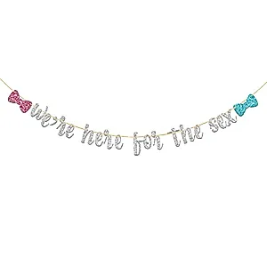WeBenison Silver Glitter We're Here for The Sex Banner for Baby Shower Party Decor Boy or Girl Gender Reveal Party Supplies