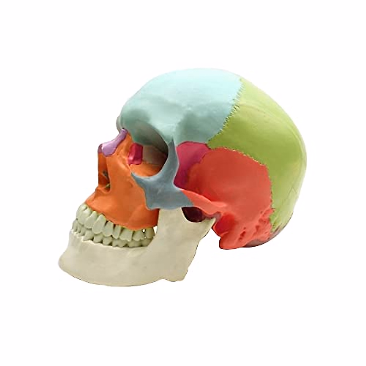 PLA Max PLA + Bone White PLA Filament 1.75 mm 3D Printer Filament 1KG 2.2LBS 3D Printing Material Stronger Than PLA Pro PLA Plus Normal PLA Filament CC3D Ivory White Bone Color