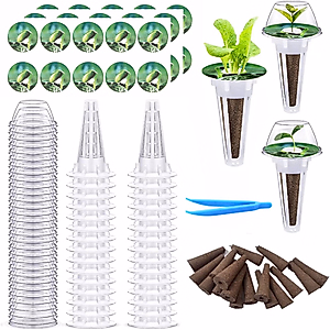XFVFXZZ 121 Pcs Seed Pods Kit Compatible with Aerogarden, Suitable for Hydroponics Growing System for a Variety of Plants, Outdoor and Indoor Hydroponics Supplies
