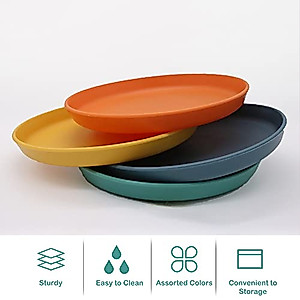 Muulaii Plastic Plates Reusable 6 Inch Unbreakable Deep Dessert Dinner Plates BPA free and Eco-Friendly Dishwasher and Microwave Safe Round Dinnerware Plates - Pack of 4
