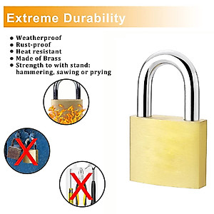 Solid Brass Same Keyed Padlock keyed Alike Locks of 12 Pack, Solid Lock with (25mm) Wide Lock Body, Keyed Padlocks for Toolbox, Luggage,School lockers, Backpacks