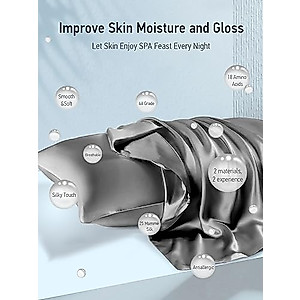 Lacette Silk Pillowcase for Hair and Skin 2 Pack, 22Momme 100% Mulberry Silk & Natural Wood Pulp Fiber Grade 6A Dual-Sided Silk Pillow Cases, Silk Pillow Cover with Zipper (Standard20 x26,Space Gray)