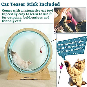 Lokshun Cat Wheel,Cat Exercise Wheel with Lock Pin,Great Weight-Loss Cat Wheel with Carpeted Runway,Large-Sized Cat Exercise Wheel with Noiseless Rollers,42in Large,Cat Teaser Stick Included