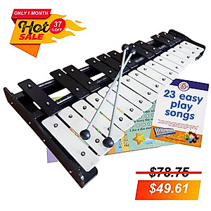 Glockenspiel 25 Note Chromatic A-A Tuned Xylophone, Black Soft Bag