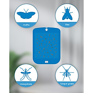 10 Pcs Refill Cartridges for Raid Essentials and for Stem Flying Insect Light Trap, Replacement Glue Card Compatible with Wondercide Indoor Plug-in Blue Light Trap for Fly Bug Mosquito Gnat