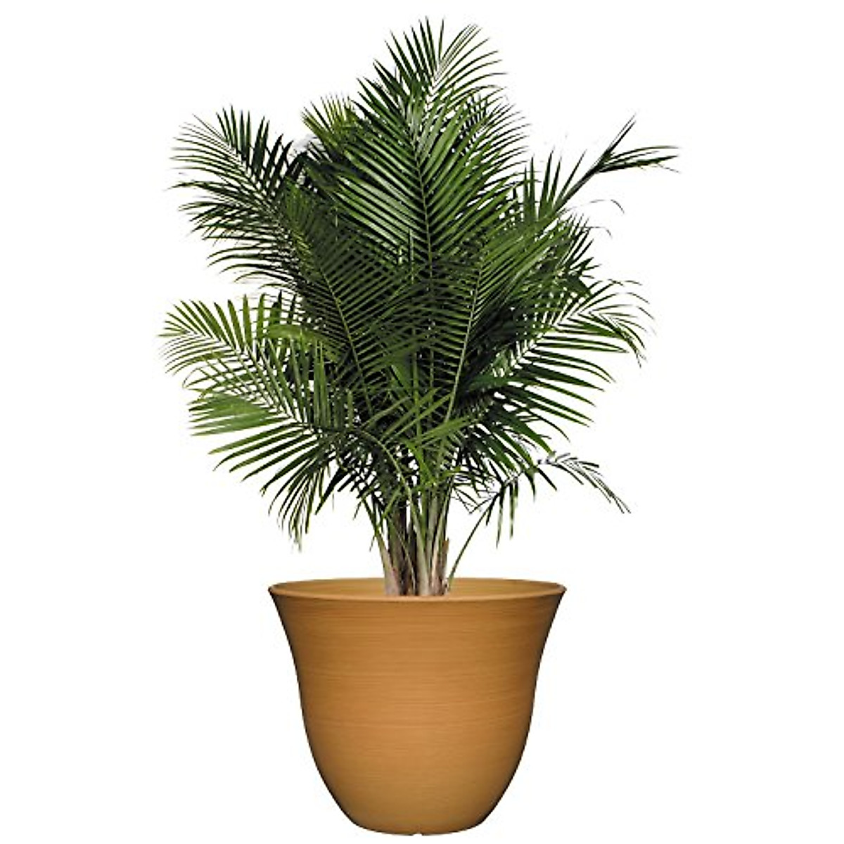 Classic Home and Garden Honeysuckle Planter, Patio Pot, 15" Bamboo