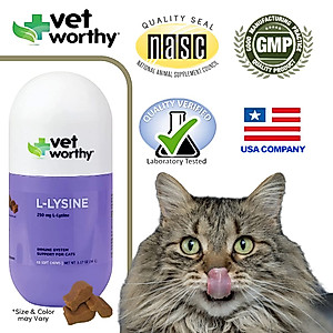 Vet Worthy L-Lysine Soft Chews for Cats - Cat Supplement to Support the Immune System and Overall Health - Cat Vitamins with 250 mg L-Lysine per soft chew - Chicken Liver Flavor Soft Chews, 3.17oz