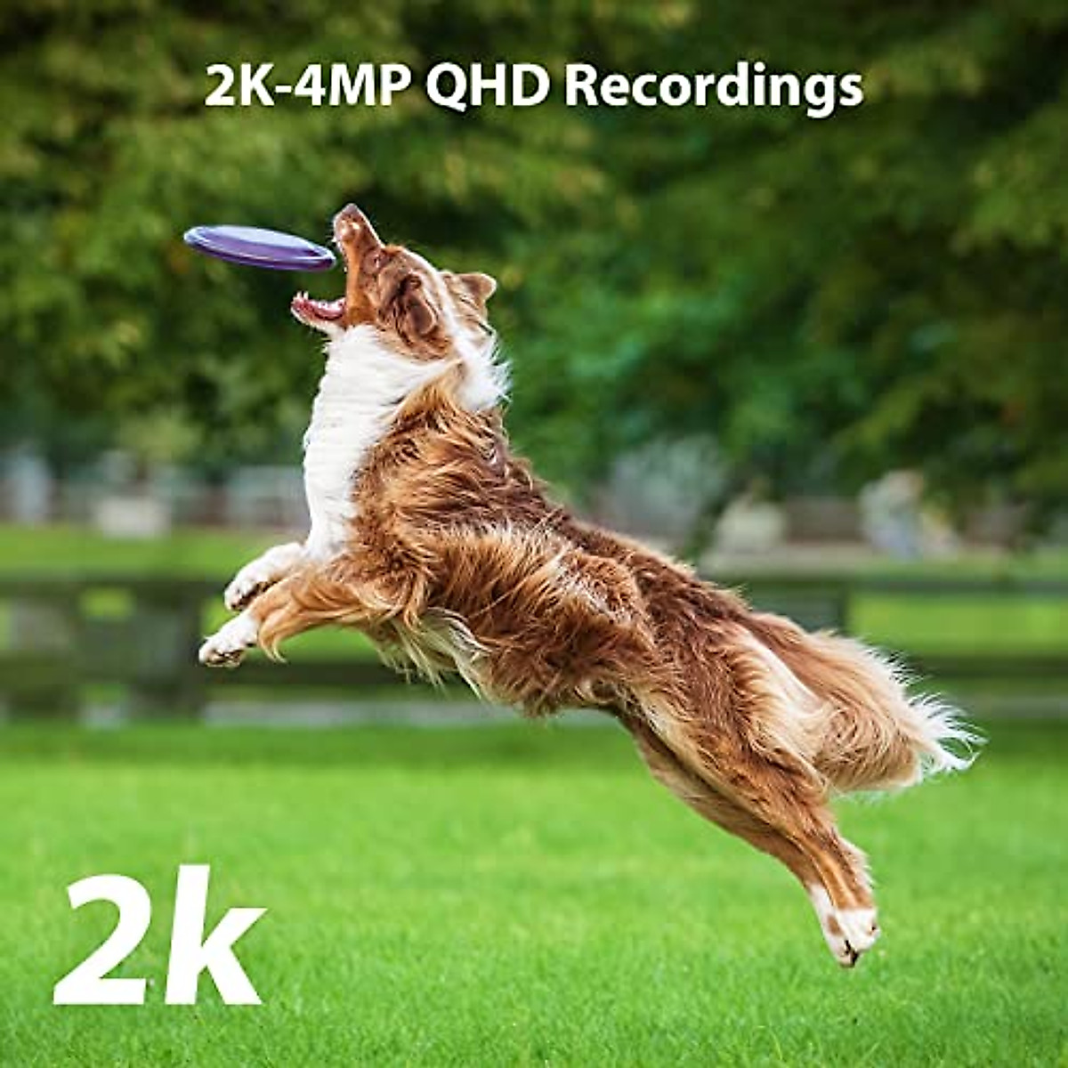 winees 4MP Security Camera Outdoor, 2K WiFi Surveillance Camera, Video Home Camera, 2-Way Talk, Night Vision, Siren Alarm, Human/Pet/Sound Detection, 7/24 SD&Cloud Storage, Compatible with Alexa, M3