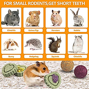 YIXUND Rabbit Toys Guinea Pig Toys Hamster Toys Bunny Toys 18Pcs Natural Timothy Hay Sticks Apple Wood Sticks Chinchilla Toys for Teeth Care Handmade