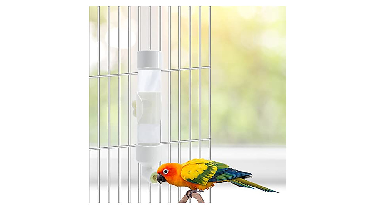 Automatic Bird Water Dispenser for Medium Birds