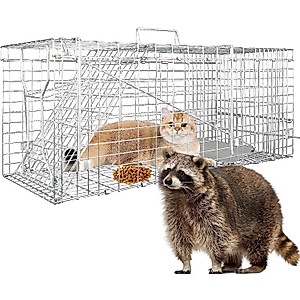 32" Live Animal Cage Trap, Humane Cat Trap Galvanized Iron,Heavy Duty Folding Animal Trap with Handle for Rabbits, Stray Cats, Raccoons,Groundhogs and Opossum(32 * 12 * 12.5inch)