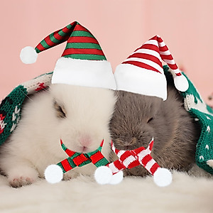 FOIMAS 12pcs Christmas Pet Chicken Hat Scarf Set Small Animal Hat Costume Set for Hen Duck Hamster Guinea Pig Rabbit Kitty Puppy Parrot Lizard Xmas Party Supply