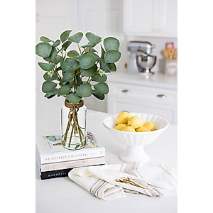 Briful Artificial Eucalyptus Stems in Glass Vase with Faux Water, 14" Fake Plant Eucalyptus Leaves for Home Office Farmhouse Wedding Centerpiece Décor