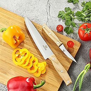 KL KALOO 2PCS Kitchen Knives, 8 inch Chef's Knife and 3.5 inch Paring Knife, Professional Chef Knife with German Stainless Steel Blade and Wooden Handle