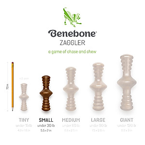 Benebone 2-Pack Maplestick/Zaggler Durable Dog Chew Toys, Real Maplewood, Real Bacon, Made in USA Small