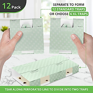 Bed Bug Glue Traps – 12 Pack | Sticky Pest Control Trap and Bed Bug Killer | Adhesive Crawling Insect Interceptors, Trap, Monitor, and Detector for Treatment of Bed Bugs and Other Indoor Pests