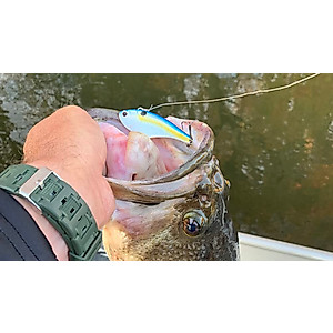 Nomad Design Swimtrex Lipless Vibration Fishing Lure with Patented Autotune System - Realistic Baitfish Action, Enticing Movement, 66 SNK FR 2-1/2" - 1/2oz, Brown Craw