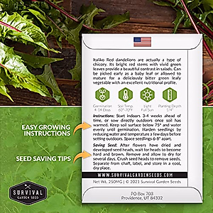 Survival Garden Seeds - Italiko Red Dandelion Seed for Planting - Packet with Instructions to Plant and Grow Nutritious Italian Chicory Greens in Your Home Vegetable Garden - Non-GMO Heirloom Variety