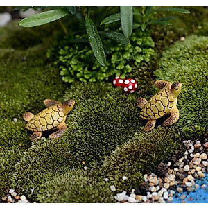 SunRise 6pcs Resin Cute Beach Sea Turtle Miniature Figurine Status Micro Landscape Decorations Fairy Gardens Dollhouse DIY Ornaments Decor