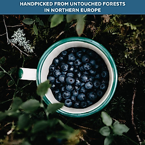 Numami Wild Blueberry Powder Organic, for Smoothies, Baking and Flavoring, Rich in Antioxydants and Vitamin C, Organic Blueberries are Handpicked from Nordic Forests Freeze Dried (4.4 Ounce)