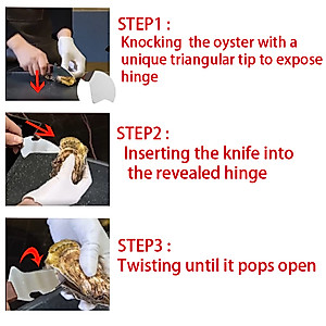 Labstandard Oyster Scallop Shucking Knife，Stainless Steel blade and oak wood Handle with Unique opening design (Beech wood)