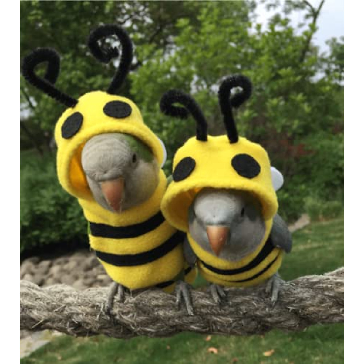 Bird Costume Bird Diaper Flight Suit Bird Bee Shape Bird Clothes Cosplay Photo Prop for Parrots Lovebird Budgie Parakeet Cockatiel Sun Conure, Small Animals Apparel (Bee Without Diaper, X-Large)
