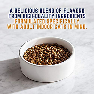 Natural Balance Original Ultra Indoor Chicken & Salmon Meal Cat Food | Dry Food for Indoor Adult Cats | 6-lb. Bag