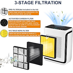 2Pack Vital 200S True HEPA Filters Replacement for LEVOIT Vital 200S Pet Allergy Air Purifier, H13 Grade Ture HEPA Filter and High-Efficiency