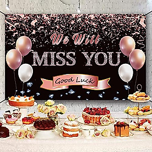 Trgowaul Retirement Farewell Party Decorations,Rose Gold We Will Miss You Sign Banner Backdrop Goodbye Party Decorations,Going Away Party Retirement Party Bye Office Work Graduation Party Decorations