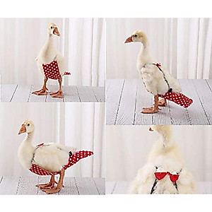 ABCD Chicken Diapers, Duck Diapers, Adjustable Chicken Diapers, Washable and Reusable, Chicken Costumes with Bows (Banana, M)