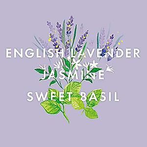 NEOM Lavender, Jasmine & Basil Candle, Travel Size | Scent to Sleep | Essential Oil Aromatherapy Candle | 100% Natural Fragrance