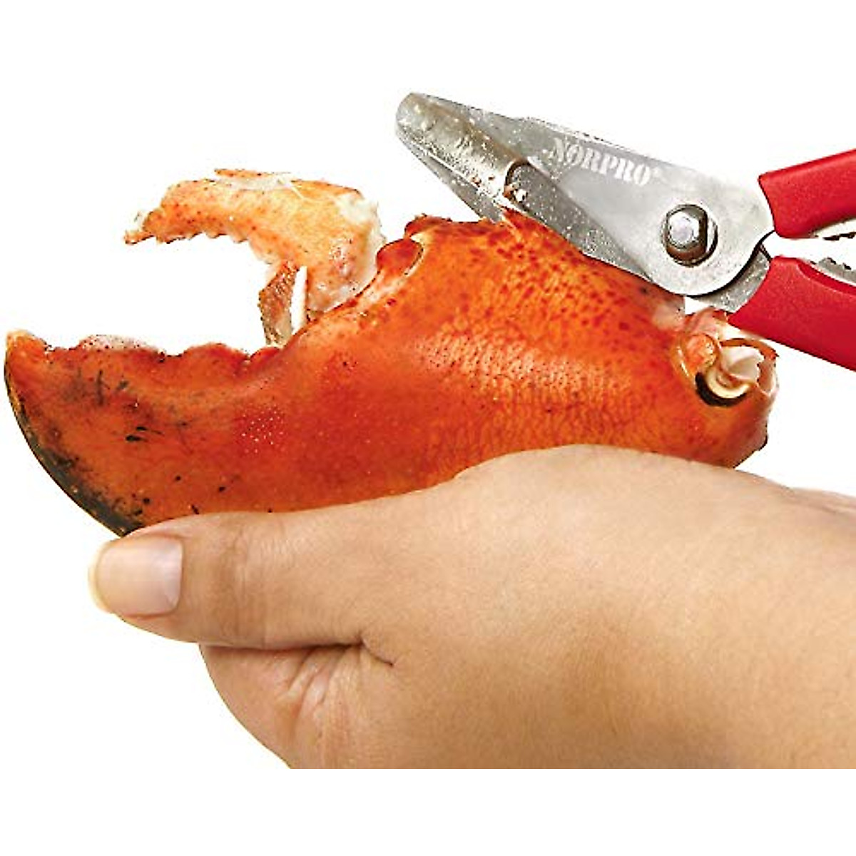 Norpro 6516 Ultimate Seafood Shears (Pack of 2)