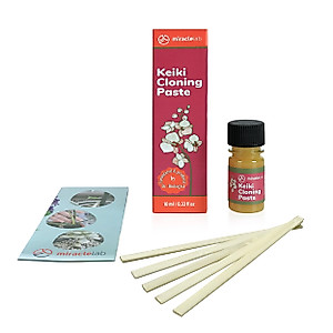 Miracle Lab Keiki Cloning Paste Special Cytokinin Formula Gives a New Baby Orchid (Keiki) in Weeks-Can Be Used on All Kinds of Orchids and Also House Plants (1 Pack)