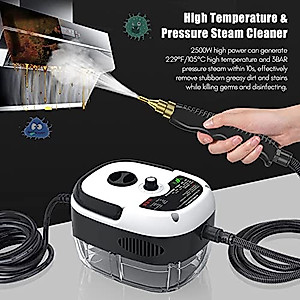 Steam Cleaner, 2500W Steam Cleaners for Home Use, Portable Steam Cleaner with Brush Heads, High Pressure Temperature Steam Cleaning Machine, Handheld Steam Cleaner for Car Couch Furniture Floors
