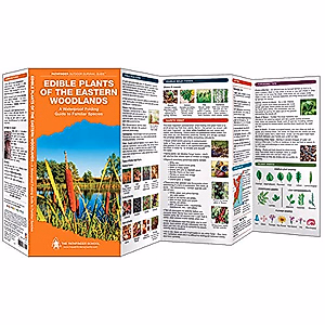 Edible Plants of the Eastern Woodlands: A Folding Guide to Familiar Species (Outdoor Recreation and Survival)
