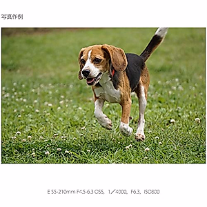 SONY E 55-210mm F4.5-6.3 Lens for SONY E-Mount Cameras (Black) (Renewed)