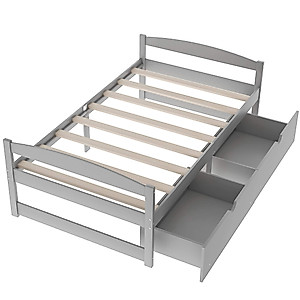 HZSSDTKJ Twin Size Platform Bed with Two Storage Drawers, Solid Wood Daybed Frame with Wooden Slats Support for Kids Teens Girls Boys Adults, No Box Spring Needed (Gray-T6, Twin)