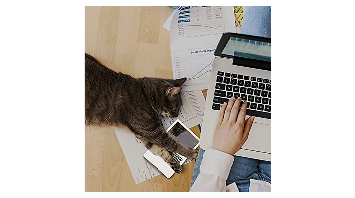 ebuddy Mini Cat Laptop Toy & Mirror - White Pet Fun!