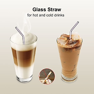 LIFEHIM Reusable Straws Glass Clear: 32 Pack Glass Straws Long Drinking Straws Bendy Wide Smoothie Straw Large Cocktail Straws for Drinks