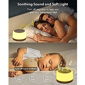 Anescra White Noise Sound Machine and Night Light for Home Office with 24 Soothing Nature Sounds,16 Levels Volume, Portable Sleep Sound Timer Therapy for Baby Adults Kids, Sleeping Aid|USB Type-C