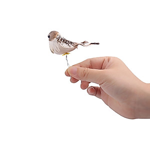 Warmtree 24 Pcs Artificial Simulation Birds Feather Mini Bird Decorative Fake Birds for Christmas Tree Craft Home Ornaments Garden Wedding Decoration (Set B)