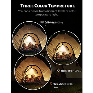 Wildley Camping Lantern, 600LM Camping Lights, 5 Light Modes Rechargeable Lantern Waterproof Mini Flashlight Emergency Lights for Home Power Failure, Camping Hanging, Car Camping (Black)