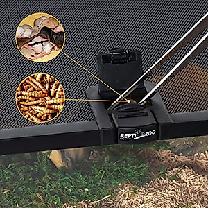 REPTIZOO Small Reptile Tank 20" x 12" x 6" Glass Reptile Terrarium with Top Feeding Reptile Habitat for Reptile Amphibians Snake Spider