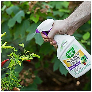 Garden Safe Houseplant and Garden Insect Killer, 24-Ounce Spray, Pack of 1