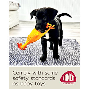 Rubber Chicken Dog Toys - Natural Rubber (Latex) - Small Breeds Puppies Lead-Free Chemical-Free - Handpainted - Soft Unstuffed Squeaky (Small)