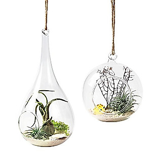 Mkono 2 Pack Glass Hanging Planter Air Fern Holder Terrarium Plants Hanger Vase Home Christmas Decoration Gift Idea for Succulent Moss Tillandsias Air Plants, Globe and Teardrop