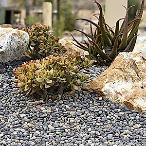 Mexican Beach Pebbles | 20 Pounds of Smooth Unpolished Stones | Hand-Picked, Premium Pebbles for Garden and Landscape Design | Mixed, 3 Inch - 5 Inch