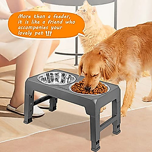 URPOWER Elevated Dog Bowls 4 Height Adjustable Raised Dog Bowl with 2 Stainless Steel Dog Food Bowls Non-Slip Dog Bowl Stand Adjusts to 3.2”, 8.7”, 10.2”, 11.8” for Small Medium Large Dogs and Pets
