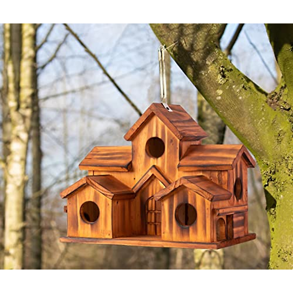 COLEBA Bird Houses for Outside,Outdoor 5 Hole Bird House Room for 5 Bird Families Bluebird Finch Cardinals Hanging Birdhouse for Garden (Brown - Set of 1)
