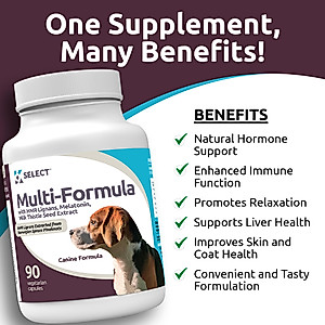 K9 Select Multi-Formula Dog Vitamins for Medium Dogs - 20mg HMR Lignans, 2mg Melatonin, 40mg Milk Thistle - Helps Heart, Liver, Digestion, Skin & Coat Health, Dog Multivitamin, 90 Capsules